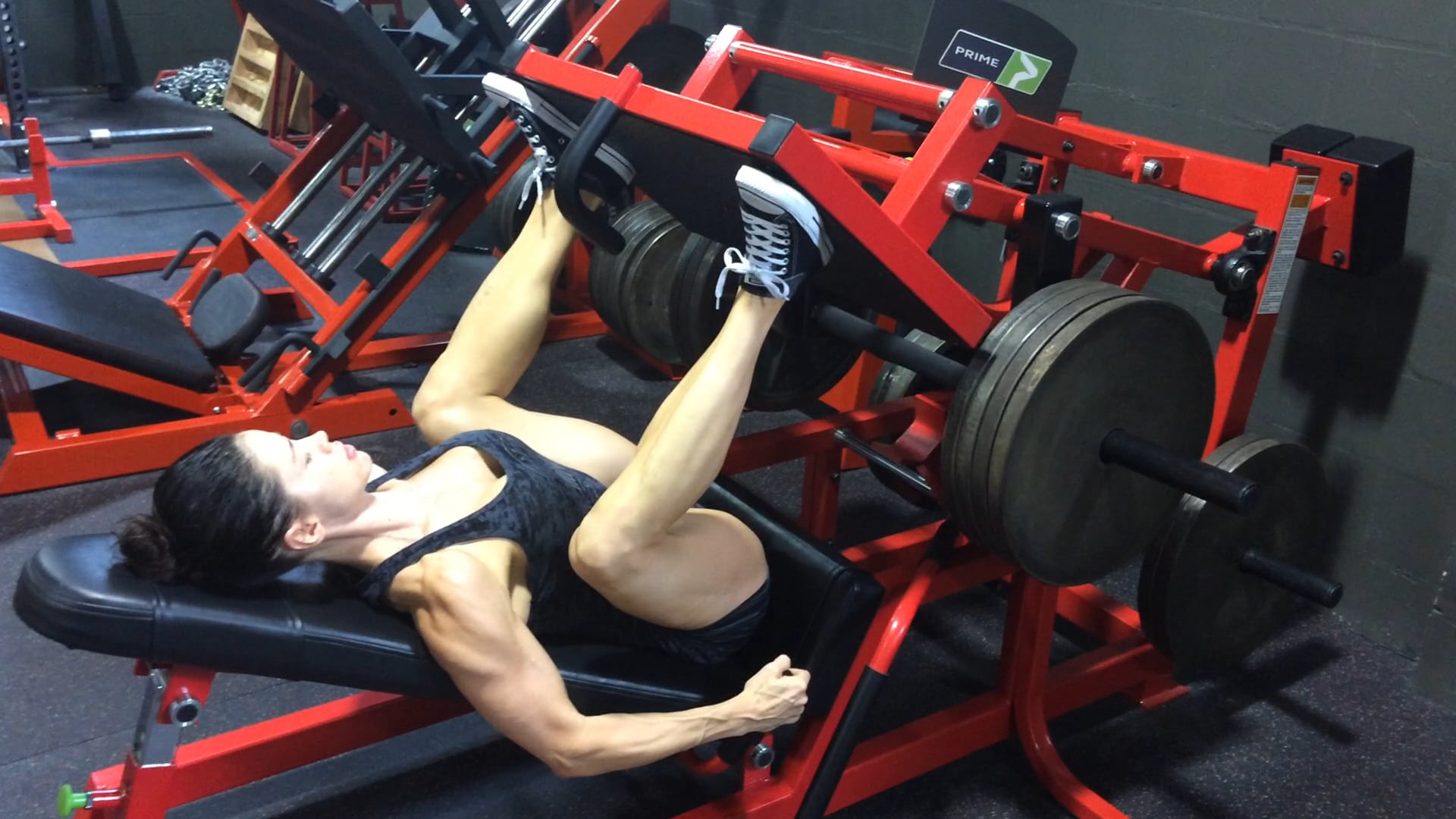 Free Workout Hypertrophy Coach